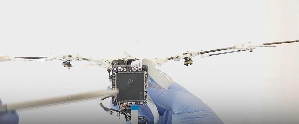 Engineers' Dream Comes True: Science World Speaks of Talking Robot Bat ...