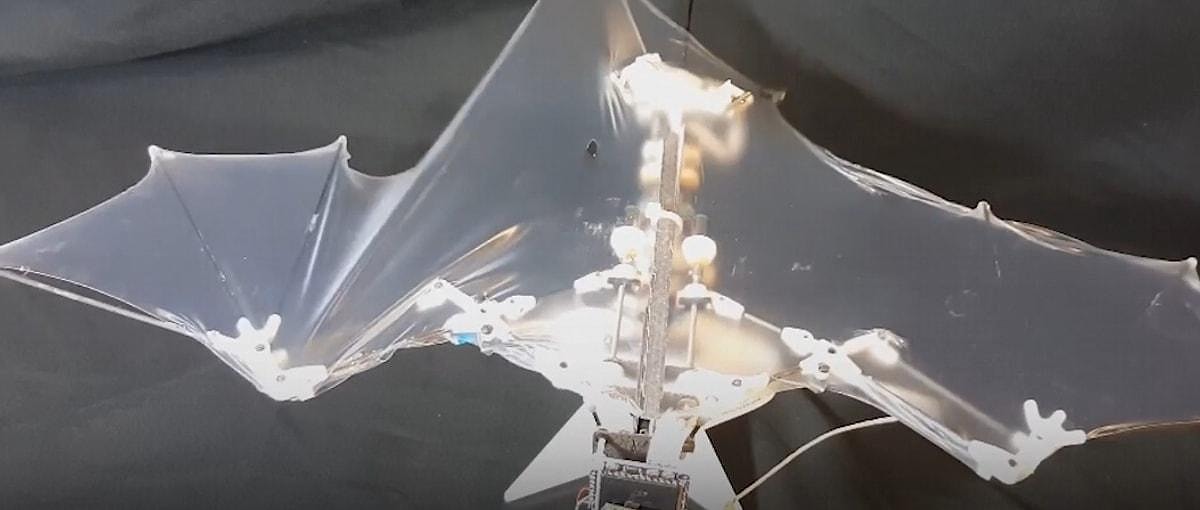 Engineers' Dream Comes True: Science World Speaks of Talking Robot Bat ...