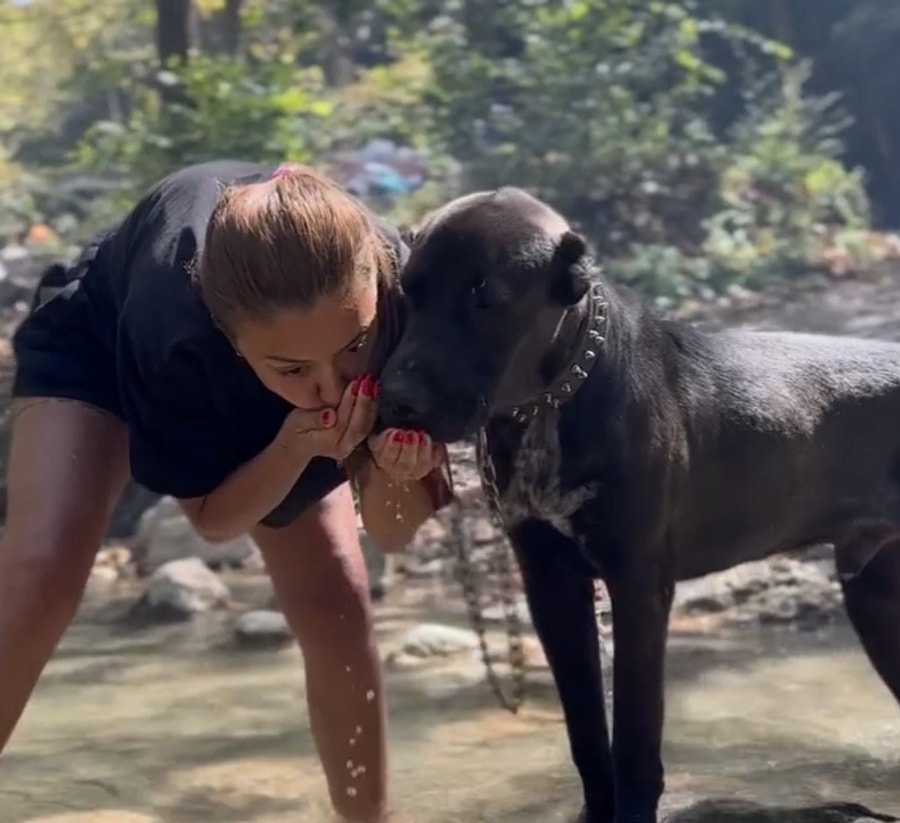 Banu Parlak'ın Tasmasız Gezdirdiği Köpeği Komşunun Köpeğini Öldürdü ...