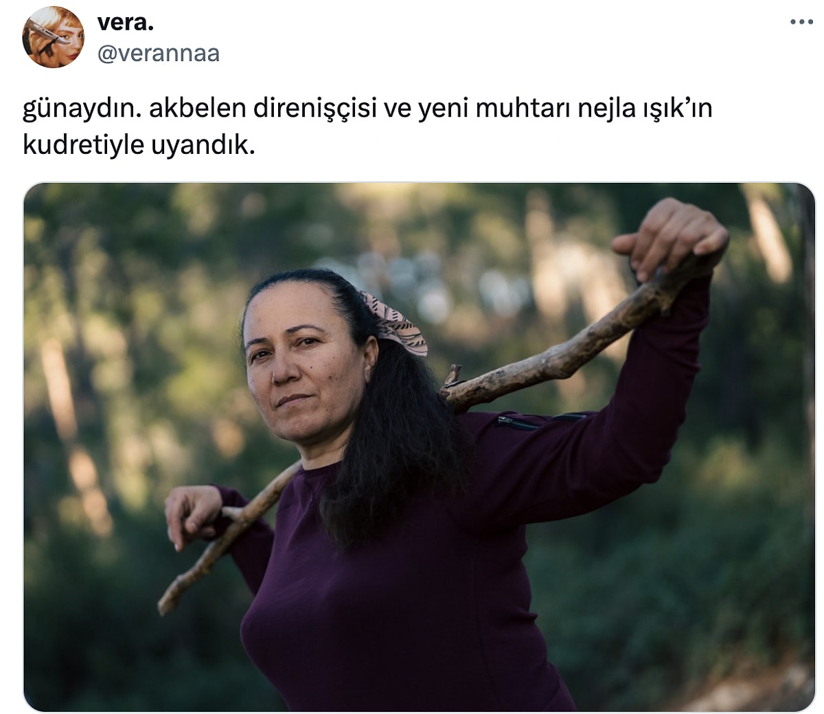 Akbelen Ormanı İçin Yıllardır Direnen Nejla Işık İkizköy'ün Yeni ...