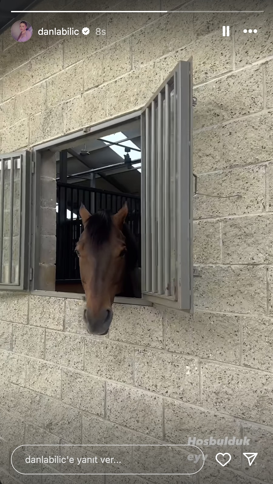 Geçmiş Günlere Yanan Ezgi Mola'dan Divane Aşık Alina'ya 6 Haziran'da ...
