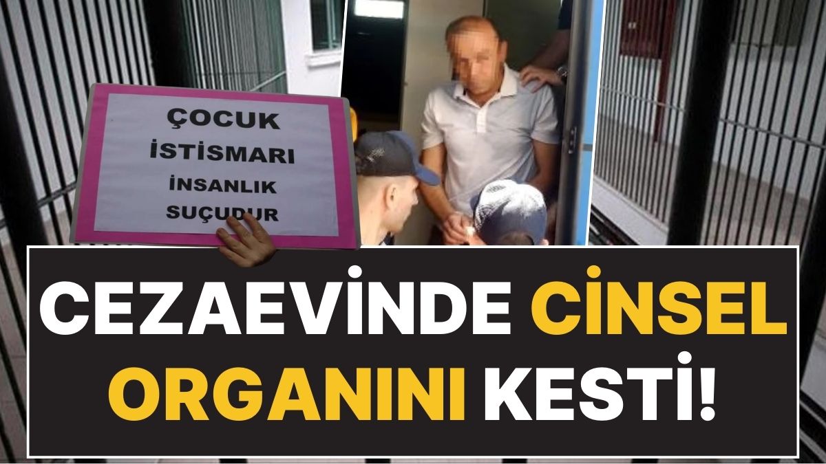 Öz Kızlarını İstismar Eden ve Hamile Bırakan Adam Cezaevinde Cinsel ...