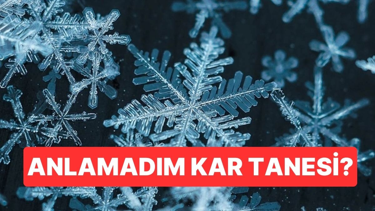 Bir Kar Tanesi En Fazla Ne Kadar Büyüklüğe Ulaşır? - Onedio