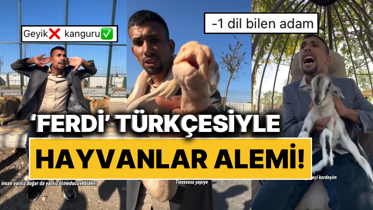 Kandıralı Ferdi ile Hayvanat Bahçesinde Türkçeyi Unutturan Eğlenceli ...