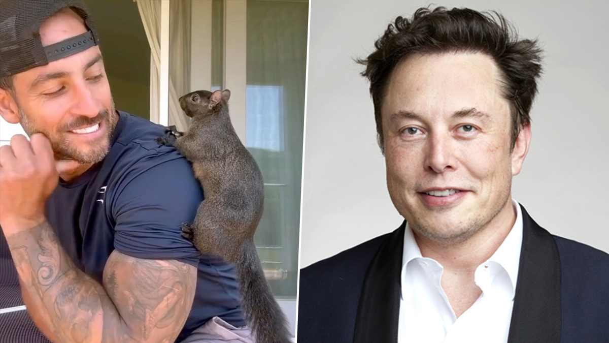Squirrel Put Down by Euthanasia: Elon Musk Slams U.S. Government as ...