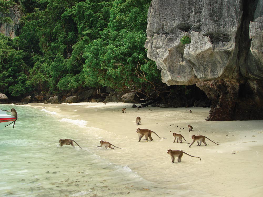 10 Incredible Places Overrun by Animals: The Real Animal Kingdoms ...