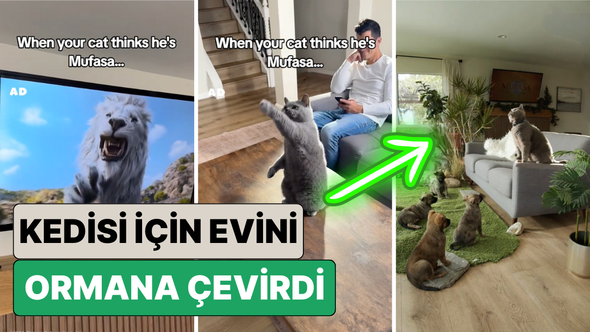 Bir Adam Kedisinin Aslan Kral İzlerken Çok Heyecanlandığını Görünce ...