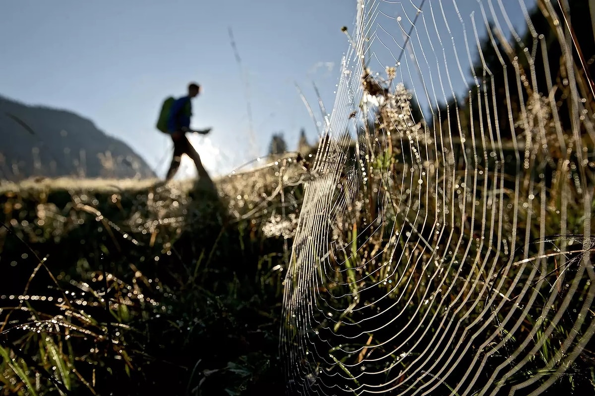 Dünyanın Yürüyerek Tamamlanabilen En Uzun Rotası - Onedio