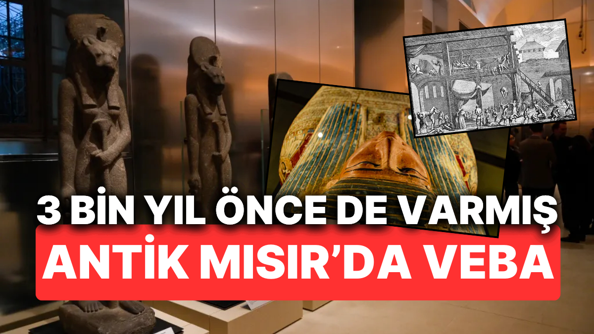 Antik Çağlardan Günümüze: Veba İlk Ne Zaman Çıktı? - Onedio
