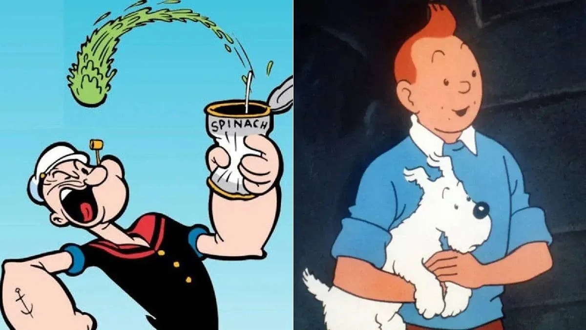 Temel Reis ve Tenten'in Kamu Malı Statüsüne Geçmesi Ne Anlama Geliyor ...