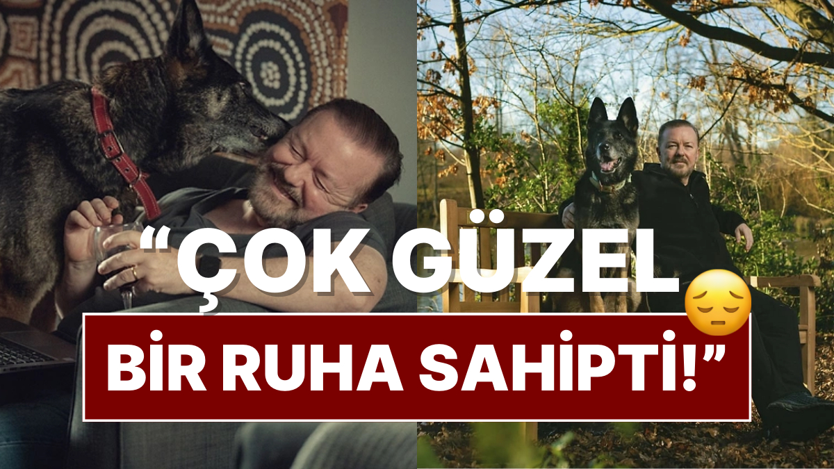 Ricky Gervais'ten After Life Hayranlarını Üzecek Haber: Dizinin Brandy ...