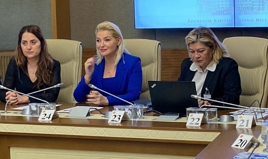 TBMM'de 'Zahide Yetiş' Gerginliği: Milletvekilleri Komisyonu Terk Etti - Onedio