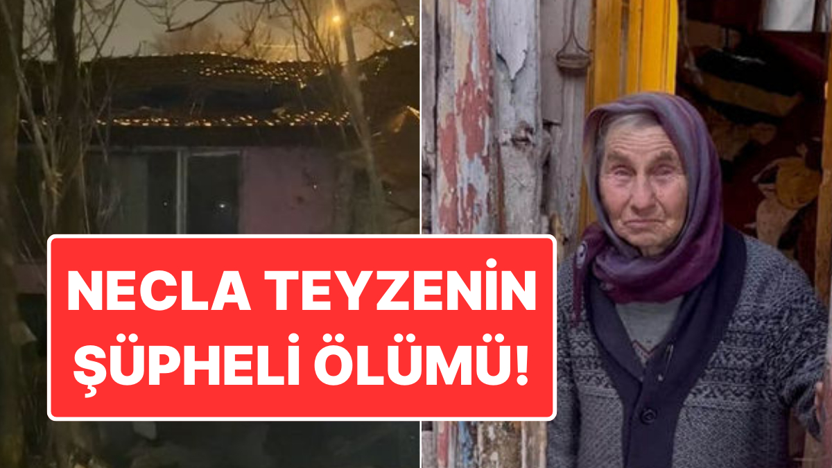 Kundaklama Şüphesi: Hayvansever Necla Teyze Nasıl Öldü? - Onedio