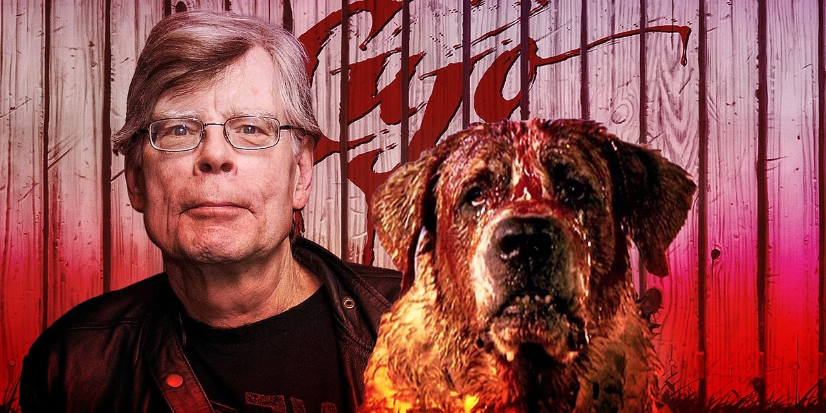 Stephen King Cujo Yeniden Çekilecek - Onedio