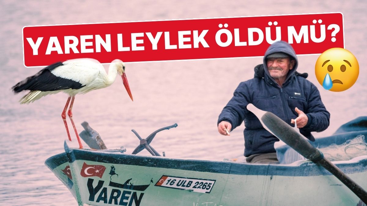 Yaren Leylek Geldi mi? Yaren Leylek Öldü mü? - Onedio
