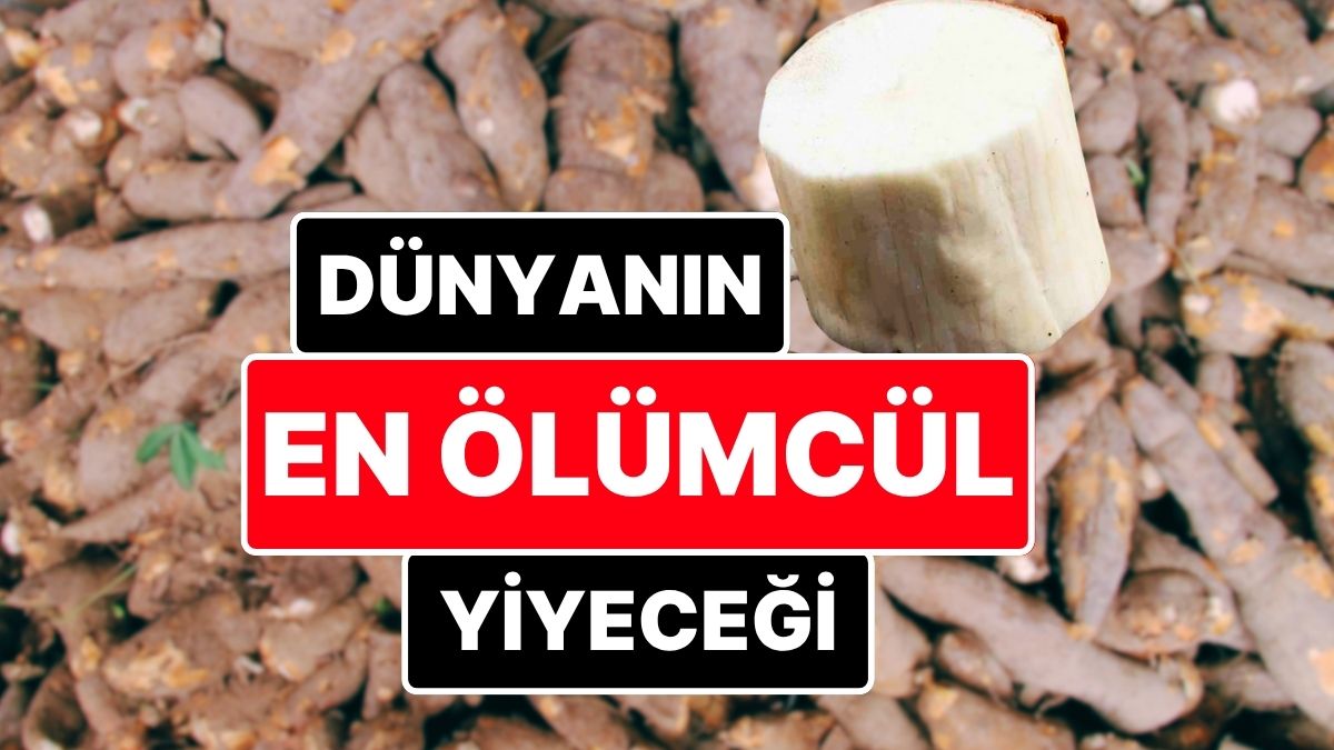 Dünyanın En Ölümcül Yiyeceği: Manyok! - Onedio