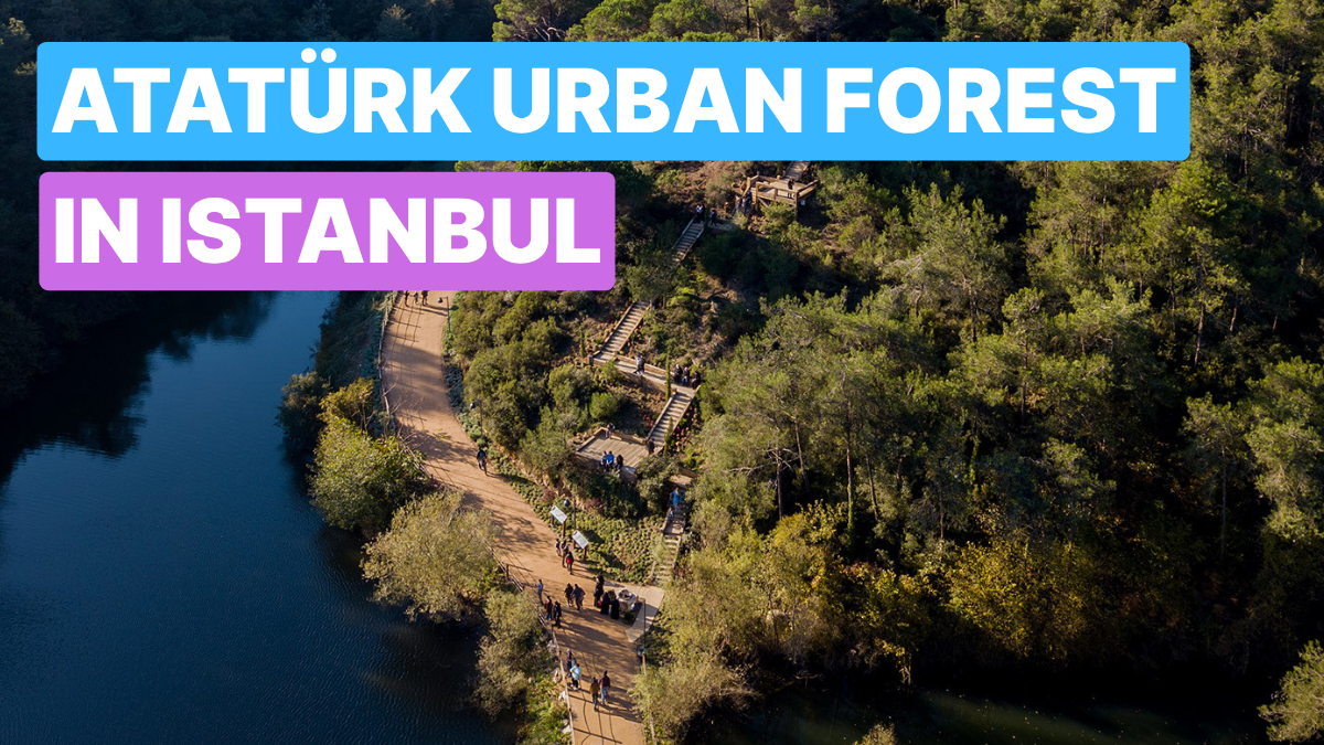 Atatürk Urban Forest: Istanbul's Natural Paradise - Onedio