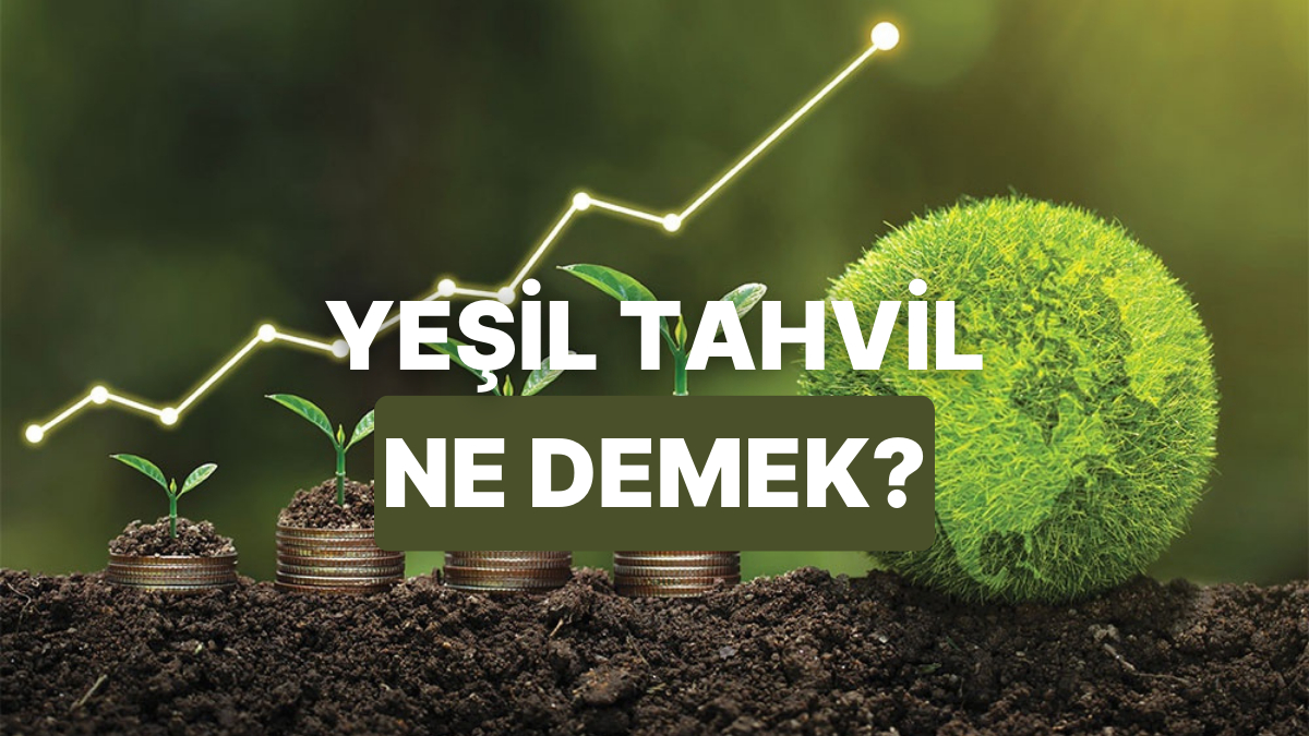 "Yeşil Tahvil" Ne Anlama Geliyor ve Neden Popüler? - Onedio