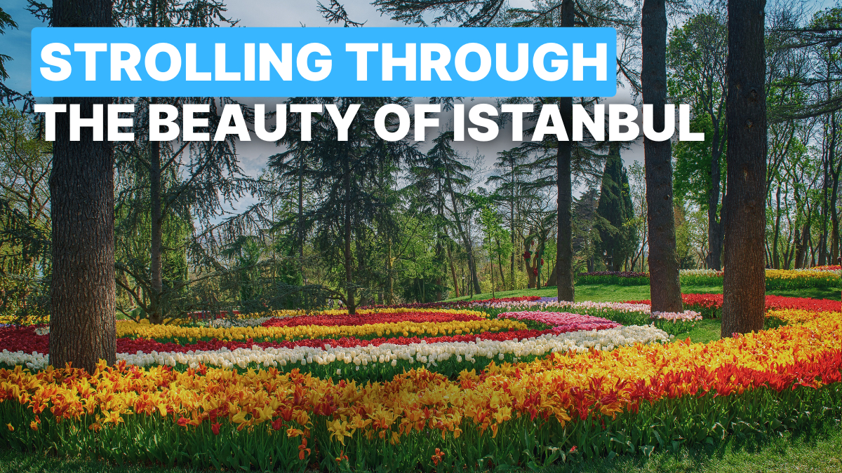 Where to Go for Scenic Walks in Istanbul - Onedio