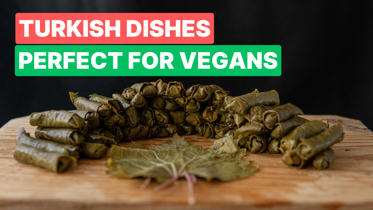 Top 10 Best Traditional Turkish Dishes for Vegans - Onedio