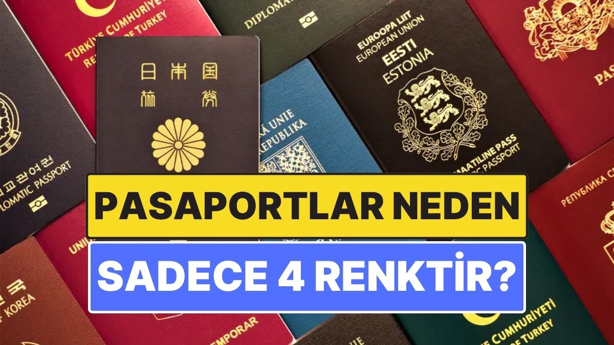 Pasaportlar Neden Sadece Dört Renktir? - Onedio