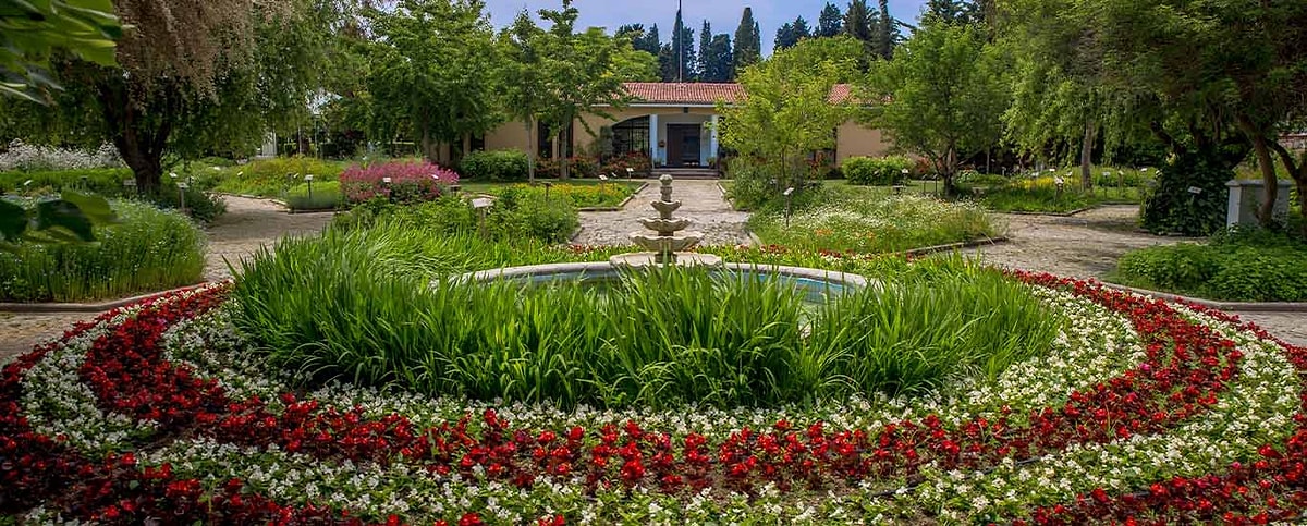 İstanbullular İçin Nefes Köşesi: Tıbbi Bitkiler Bahçesi - Onedio