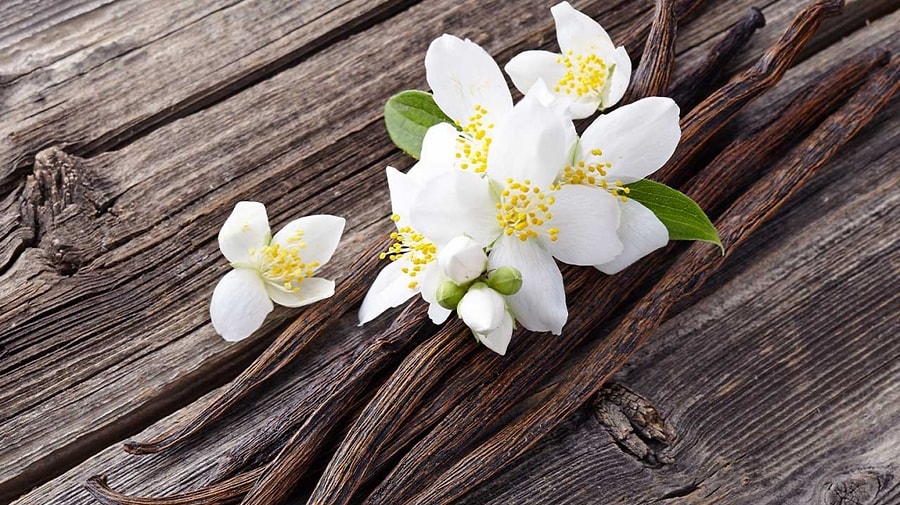 Bu Testle Favori Kokunu Buluyoruz - Onedio