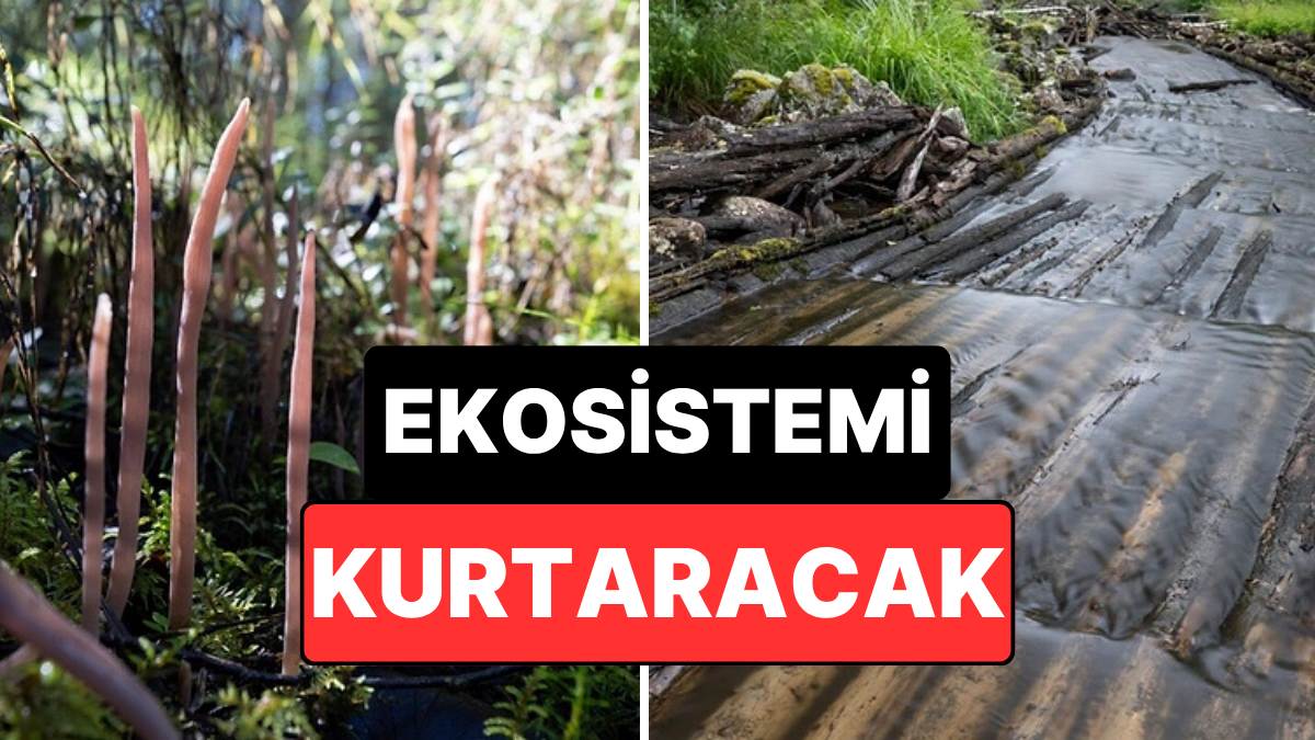 Helikopterlerle Nehre Tonlarca Kum ve Çakıl Bırakıldı - Onedio